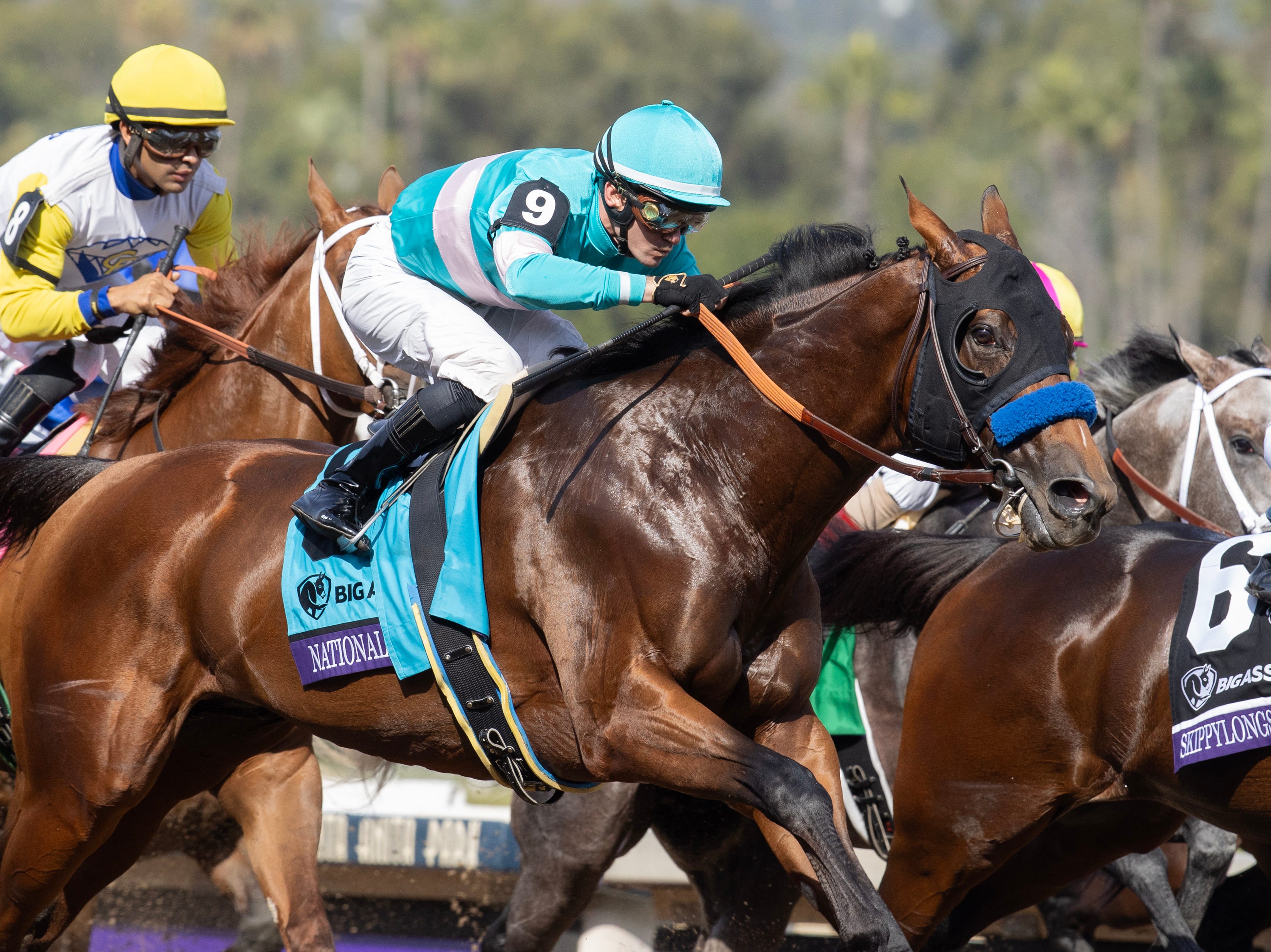National Treasure gets post 7, favored for Pegasus World Cup Invitational